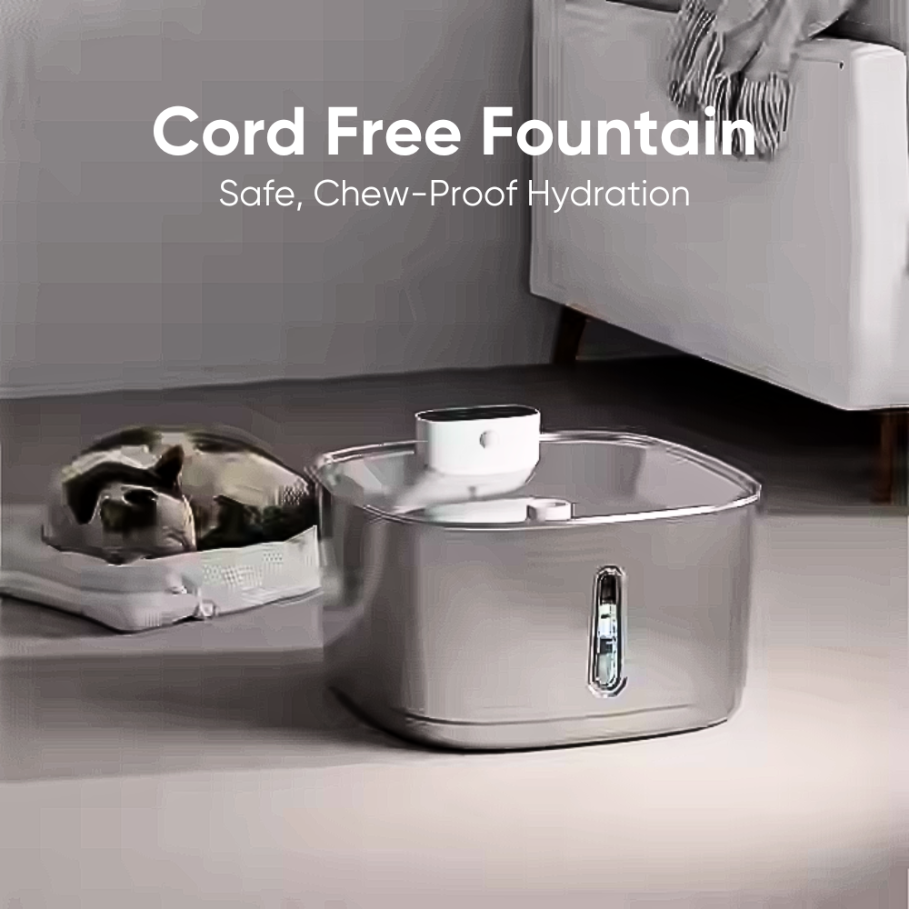 Purrify Kitty Fountain